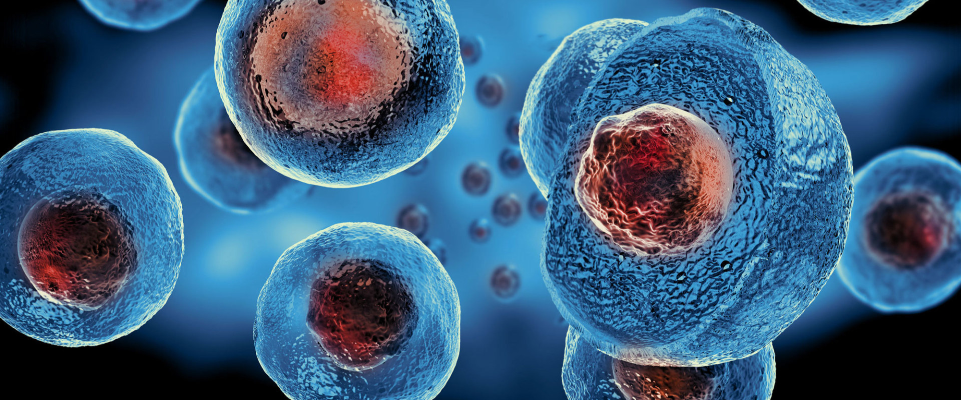 The FDA Approval Process for Stem Cell Therapies: Ensuring Safety and ...
