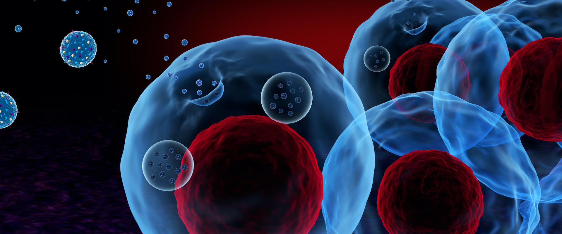 What are exosomes in cardiovascular disease?